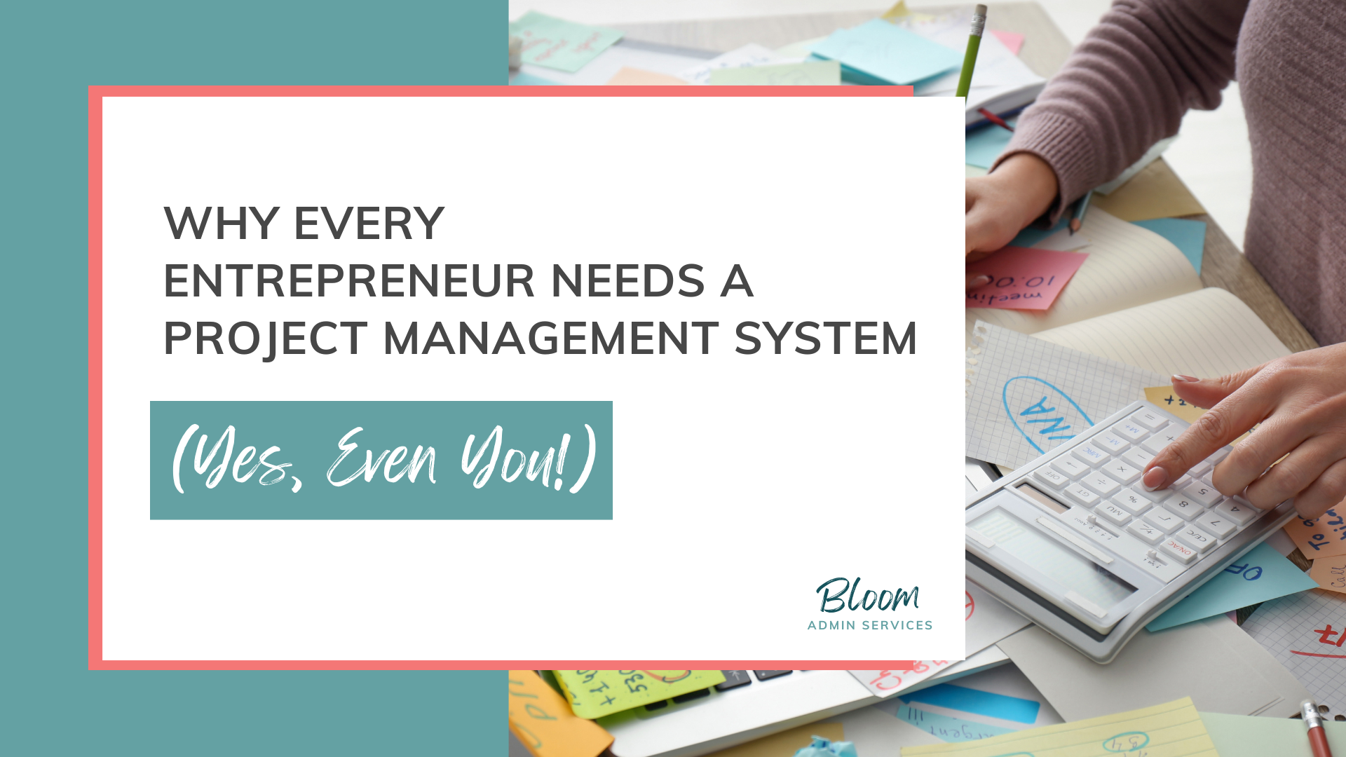 Why Every Entrepreneur Needs a Project Management System - Bloom Admin ...